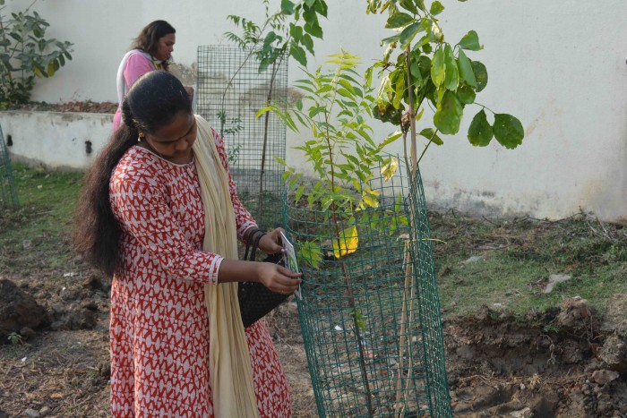 Join Us | Rural & Urban Tree Plantation & CSR Initiatives